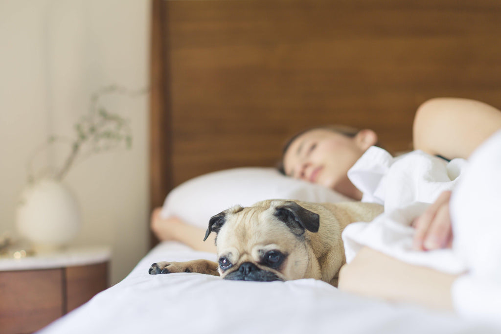 Bigger Beds Help You Sleep Better – The Cornish Bed Company UK ...